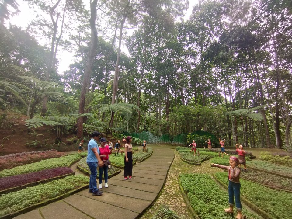 Eden Nature Park | Davao Tour | Tourist Spot | Real Breeze Davao
